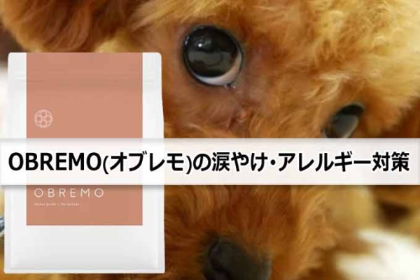 OBREMO(オブレモ)を涙やけでお試しする方が爆増中のワケ！